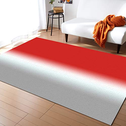 Contemporary Indoor Area Rugs Non-Slip Floor Mat, Gradient Red White and Gray Area Rug Rubber Backed Carpet Fade-Proof Washable Comfort Rug for Living Room Bedroom Decor, 2' x 3'