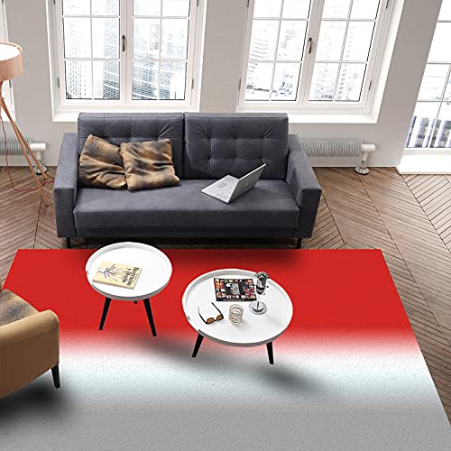 Contemporary Indoor Area Rugs Non-Slip Floor Mat, Gradient Red White and Gray Area Rug Rubber Backed Carpet Fade-Proof Washable Comfort Rug for Living Room Bedroom Decor, 2' x 3'