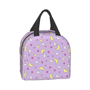 Portable Insulated Tote Lunch Box Lunch Bag for Women Men Boys Girls with Work Picnic Travel, Purple, One Size