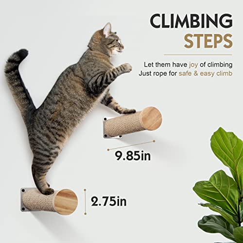 LSAIFATER Cat Hammock Wall Mounted Large Cat Perch with 2 Cat Wall Steps - Cat Wall Shelves for Indoor Cats or Kitty - Premium and Modern Cat Furniture for Sleeping, Playing, Climbing (Grey)