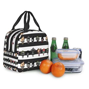 Lunch Bag Portable Insulated Lunch Tote Bag Lunch Box Bag Picnic Bag for Women Mens Boy Girl Work Office