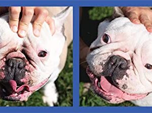 Squishface Flexible Silicone Dog Wrinkle Paste Applicator - Gentle Paste Application - Softer, Cleaner Way to Apply Wrinkle Paste & Tear Stain Paste to Your Dog's Face - for Every Product & Breed!