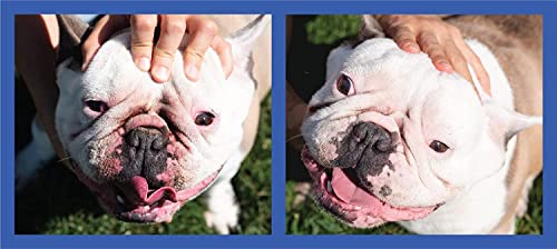 Squishface Flexible Silicone Dog Wrinkle Paste Applicator - Gentle Paste Application - Softer, Cleaner Way to Apply Wrinkle Paste & Tear Stain Paste to Your Dog's Face - for Every Product & Breed!