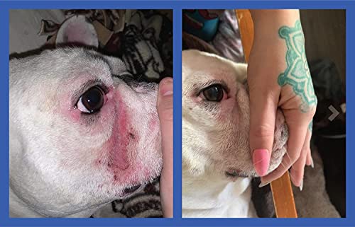 Squishface Flexible Silicone Dog Wrinkle Paste Applicator - Gentle Paste Application - Softer, Cleaner Way to Apply Wrinkle Paste & Tear Stain Paste to Your Dog's Face - for Every Product & Breed!