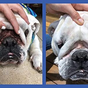 Squishface Flexible Silicone Dog Wrinkle Paste Applicator - Gentle Paste Application - Softer, Cleaner Way to Apply Wrinkle Paste & Tear Stain Paste to Your Dog's Face - for Every Product & Breed!