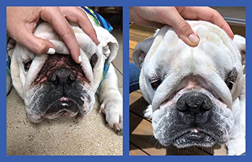 Squishface Flexible Silicone Dog Wrinkle Paste Applicator - Gentle Paste Application - Softer, Cleaner Way to Apply Wrinkle Paste & Tear Stain Paste to Your Dog's Face - for Every Product & Breed!