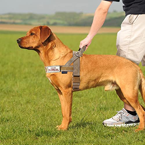 Annchwool No Pull Dog Harness with Soft Padded Handle,Reflective Strip Escape Proof and Quick Fit to Adjust Dog Harness,Easy for Training Walking for Small & Medium and Large Dog(Brown,L)