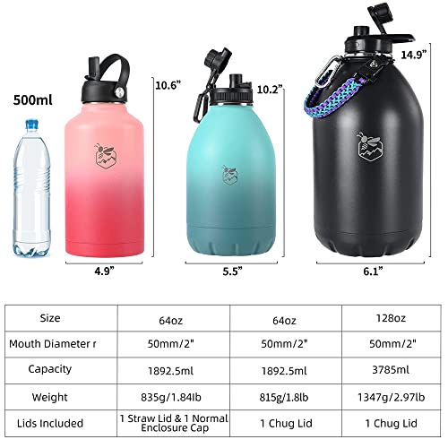 Boulder Bee | 64 oz Insulated Water Bottles | Stainless Steel Thermos for Hot & Cold Drinks | Double Vacuum Walled Gym Water Bottle | Large Metal Jug for Travel, Hiking, Camping (Light Pink)