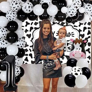 Holy Cow I'm One Birthday Decorations, Cow Farm Theme 1st Birthday Party Decorations for Boy, Black and White Cow Balloon Garland Arch Kit, Happy Birthday Backdrop, Cow Head Foil Balloons