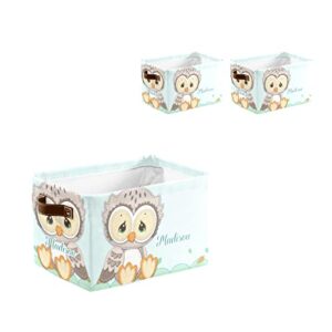 Woodland Owl Green Foldable Custom Personalized Name Storage Bins Basket Cubic Clothes Supplies Organizer,Durable Handle