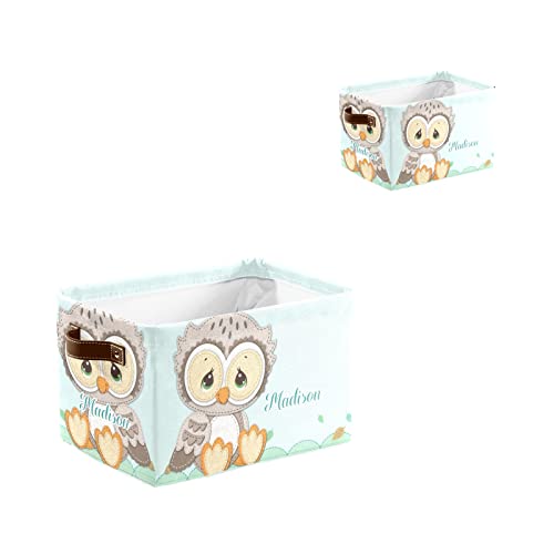 Woodland Owl Green Foldable Custom Personalized Name Storage Bins Basket Cubic Clothes Supplies Organizer,Durable Handle