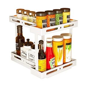 mdhand rotating spice rack organizer, multi-function spice rack organizer for cabinet, kitchen double layer rotating spice rack organizer cabinet/pantry wall/countertop