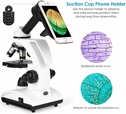 40X-1000X Microscopes for Students Kids Adults, Cordless Biological Compound Monocular Microscopes with Microscope Slides Set, Phone Adapter, Dual LED Illumination Power Optical Glass Lenses