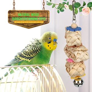 Bird Parrot Toys Swing Hanging, XUXN Bird Parrot Toys 13 Packs, Natural Wood Chewing Toy Bird Cage Toys, Parrot Hammock Bell Toys Suitable for Small Parakeets, Cockatiels, Conures, Parrots, Love Birds