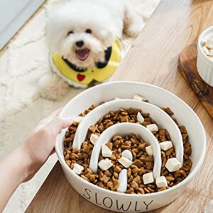 LE TAUCI PET Dog Slow Feeder Bowl Ceramic, Puzzle Dog Food Bowl for Small Medium Large Breed, Puppy Slow Feeder Bowl for Fast Eater, Dog Bowls to Slow Down Eating, Maze Bowl, Pet Bowl