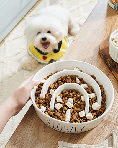 LE TAUCI PET Dog Slow Feeder Bowl Ceramic, Puzzle Dog Food Bowl for Small Medium Large Breed, Puppy Slow Feeder Bowl for Fast Eater, Dog Bowls to Slow Down Eating, Maze Bowl, Pet Bowl