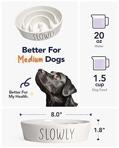 LE TAUCI PET Dog Slow Feeder Bowl Ceramic, Puzzle Dog Food Bowl for Small Medium Large Breed, Puppy Slow Feeder Bowl for Fast Eater, Dog Bowls to Slow Down Eating, Maze Bowl, Pet Bowl