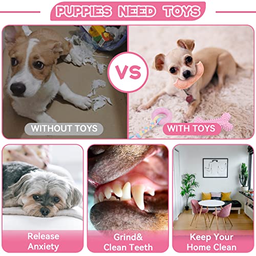 Petcare 6 Pack Puppy Toys for Teething Small Dogs Cute Pink Pet Dog Chew Toys for Puppies Soft Rubber Funny Bone Ball Donut Indoor Outdoor Anxiety Relief Cleaning Teeth Interactive Doggy Toy Set