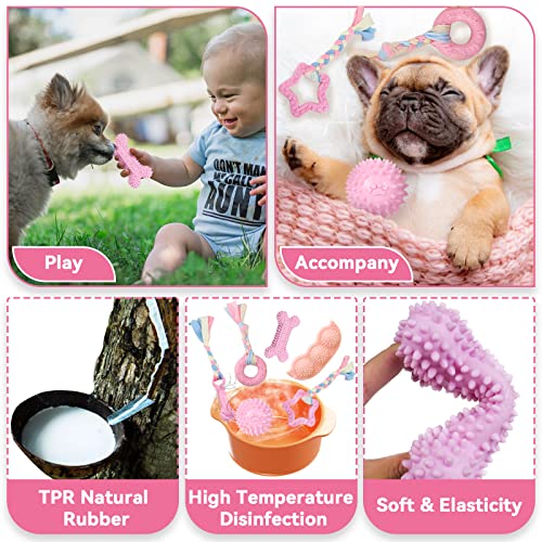 Petcare 6 Pack Puppy Toys for Teething Small Dogs Cute Pink Pet Dog Chew Toys for Puppies Soft Rubber Funny Bone Ball Donut Indoor Outdoor Anxiety Relief Cleaning Teeth Interactive Doggy Toy Set