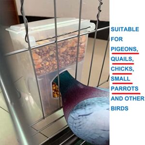 Automatic Pigeon Bird Feeder and Water -Parrot Feeder Water Cage Accessories Supplies for Parakeet Canary Cockatiel Finch