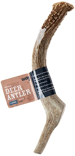 Amazon Brand - Wag Dog Deer Antler Chew, Naturally Shed, Whole, Large 8-9.5 inches (Best for Dogs 30-45 lbs)