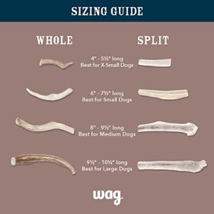 Amazon Brand - Wag Dog Deer Antler Chew, Naturally Shed, Whole, Large 8-9.5 inches (Best for Dogs 30-45 lbs)