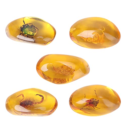 FOMIYES 5pcs Amber Fossil Artificial Amber Samples Stones Crystal Specimens Collection Pendant (Random Pattern)