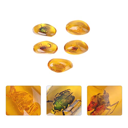 FOMIYES 5pcs Amber Fossil Artificial Amber Samples Stones Crystal Specimens Collection Pendant (Random Pattern)