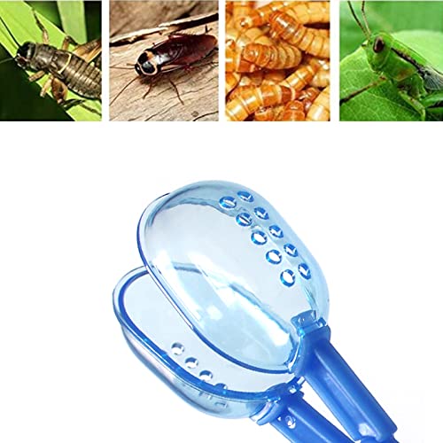 Supkeyer 3in1 Feeding Tool Reptile Feeding Tongs Cricket Clamp Bug Scooper, Cleaning Supplies Scooper+ 2x Tweezers for Reptile, Hedgehog, Hamsters, Guinea Pig,Lizard, Spider Bearded Dragon (Blue)