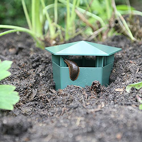 JUSHUMAOYI Slug Cage for Garden,Snail Cage Garden Tools,5pcs+1gardening Gloves with Claws