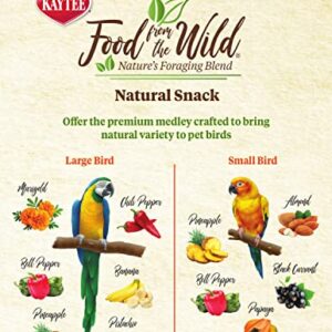 Kaytee Food From The Wild Natural Pet Bird Snack Food Treats For Parakeets, Cockatiels, Lovebirds, and Small Conures, 3 oz