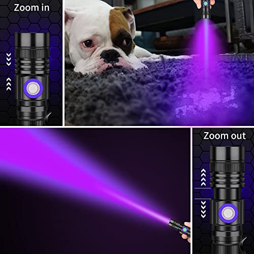 DARKBEAM UV 395nm Flashlight USB Rechargeable, Wood's lamp Black Light, Handheld Ultraviolet LED Portable with Clip, Resin Curing/Spot Scorpions/Fluorescer/Detector for Pet Dog Urine