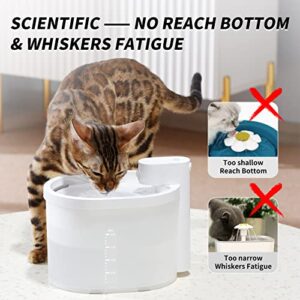 uahpet Cat Water Fountain, Wireless & Battery Operated 67oz/2L Automatic Pet Water Fountain for Cats, Dogs, Multiple Pets