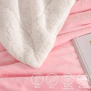 Stellhome Sherpa Fleece Throw Blanket, Fluffy Warm Super Soft Reversible Soild Plush Blanket for Bed, Sofa and Couch, 60 x 80 inches, Pink