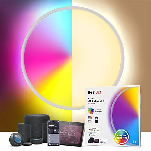 BestLuz Smart Ceiling Light Front RGBW 3000K 12 inch Flush Mount Ceiling Light Dimmable Alexa/Google Assistant/App Control Color Changing LED Ceiling Light Fixture for Living Room & Bedroom