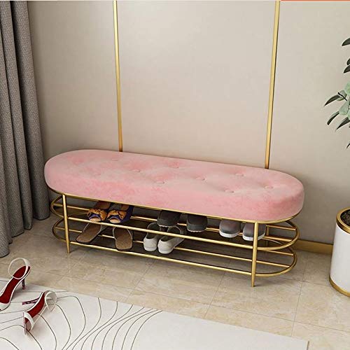 TAZSJG Shoe Stool with 2 Layers Shoe Rack Shelf Sofa Cushion Entrance Door Shoe Cabinet Shoe Stool Storage Stool (Color : A)