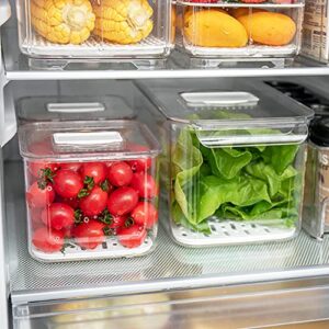 GEDLIRE Produce Saver Containers for Refrigerator 3 Pack, Stackable Plastic Fridge Food Fruit Vegetables Storage Bins with Vented Lids, Clear Freezer Fresh Keeper Organizers and Storage Container Set