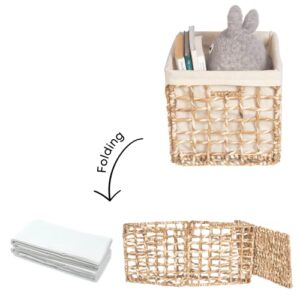 WERORA - Wicker Storage Baskets for Shelves, 2 Packs Water Hyacinth Storage Baskets with Handles, Foldable Square Pantry Baskets, Wicker Storage Basket for Toys, Bookself.