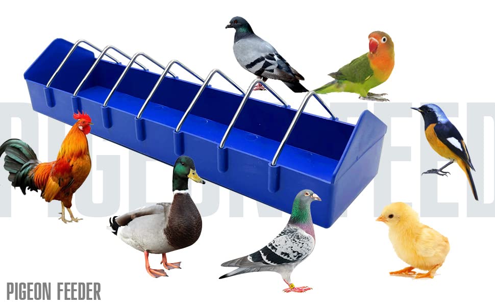 Pigeon Feeder,2pcs Birds Poultry Chicken Duck Parrots Large Feeder Bowl, Thick Durable Slot Container Feeding Dish Food Dispenser Tool