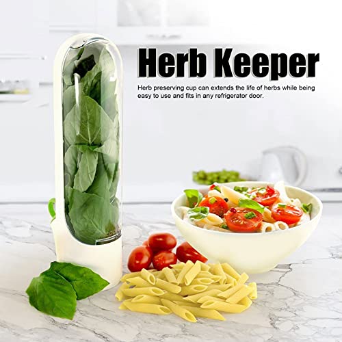 Herb Savor Pod, Herb Keeper and Herb Storage Container Savor Preserver Keeps Greens Fresh for Cilantro Mint Parsley Asparagus