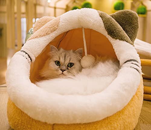 Qucey Cat Beds for Indoor Cats, Cat Cave Bed Cat Tent House Cat Hut with Rovemable Washable Cushioned Pillow, Kitten Beds, Small Dog Bed