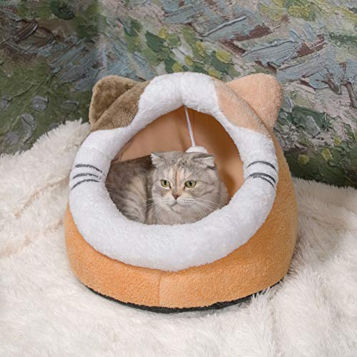 Qucey Cat Beds for Indoor Cats, Cat Cave Bed Cat Tent House Cat Hut with Rovemable Washable Cushioned Pillow, Kitten Beds, Small Dog Bed