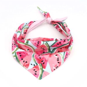 summer pet dog bandana pink watermelon dog banana