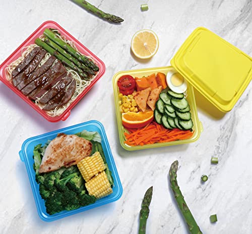 YUESING [30 Pack Bento Box Plastic Reusable Food Storage Containers with Lids Lunch Meal Prep Container for Food and Salad (26oz Square Freezer Container for Food) BPA Free Fridge Dishwasher Safe