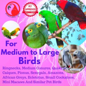 Bonka Bird Toys 3867 Duo Money Pot Medium Large Bird Toy Treat Box Foraging Paper Chew Coin Tube Shred African Grey Amazon Conures and Other Similar Birds