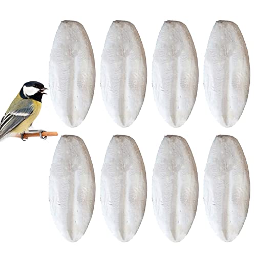 BNOSDM 8 Pack Cuttlefish Bones Natural Polished Cuttlebone for Cockatiels Birds Reptiles Turtles and Snails Cuttlefish Bone Chew Toy Bird Bites Calcium Stone 3.14-3.93 Inches