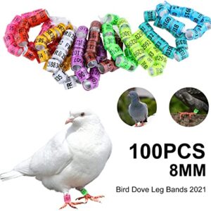 Set of 100 Dove Ring 2023 Aluminum Bird Rings Leg Bands Multicolor Racing Pigeon Foot Ring Leg Ring Canary with Number, anillos para palomas for Cockatiels, Parakeets, Parrots