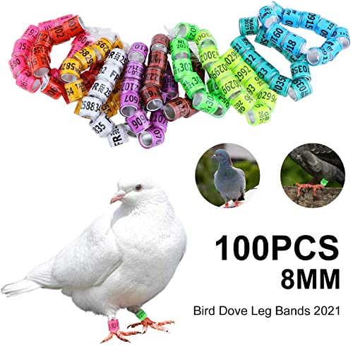 Set of 100 Dove Ring 2023 Aluminum Bird Rings Leg Bands Multicolor Racing Pigeon Foot Ring Leg Ring Canary with Number, anillos para palomas for Cockatiels, Parakeets, Parrots