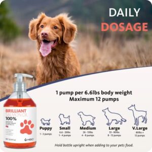 Brilliant Salmon Oil for Dogs, Cats & Puppies | Omega 3 Fish Oil Liquid Supplement with DHA, EPA Fatty Acids | Supports Skin and Coat, Immune System & Joint Function | Hofseth BioCare (16.9oz)