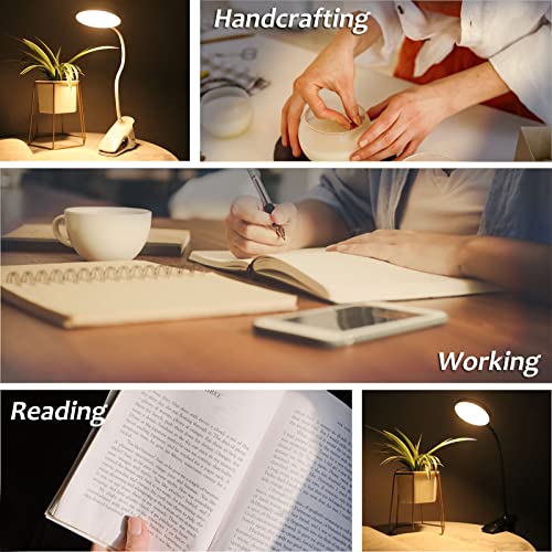 GAXmi Clip On Desk Lamp USB Rechargeable Dimmable Touch LED Table Light (White)